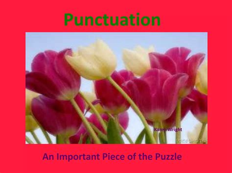 Punctuation Ppt