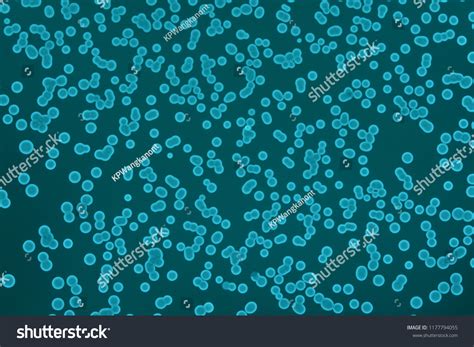 Circle Bacteria 27858 รายการ ภาพ ภาพสต็อกและเวกเตอร์ Shutterstock
