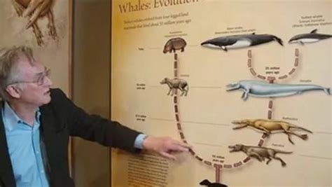 Show Me The Intermediate Fossils By Richard Dawkins Video