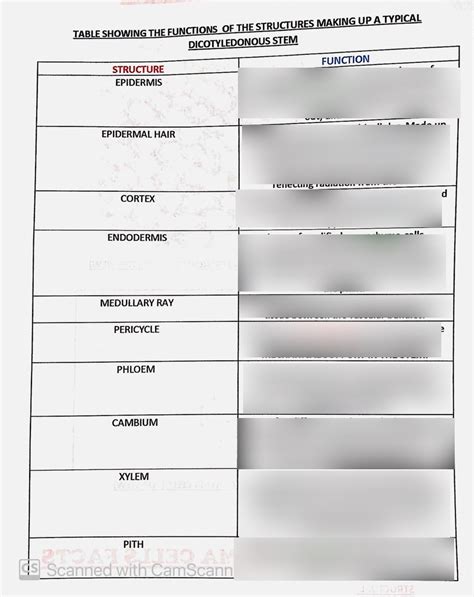 Table Showing The Functions Of The Structures Making Up A Typical