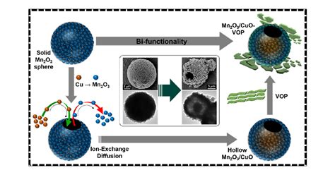 Diffusion Mediated Morphological Transformation In Bifunctional Mn2o3