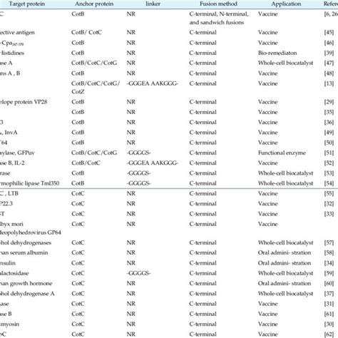 Expression Of Various Target Proteins Using B Subtilis Spore Surface Download Scientific