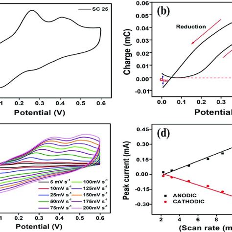 The Values Of The Contact Angle Of The Pva Film And Composite Hapva
