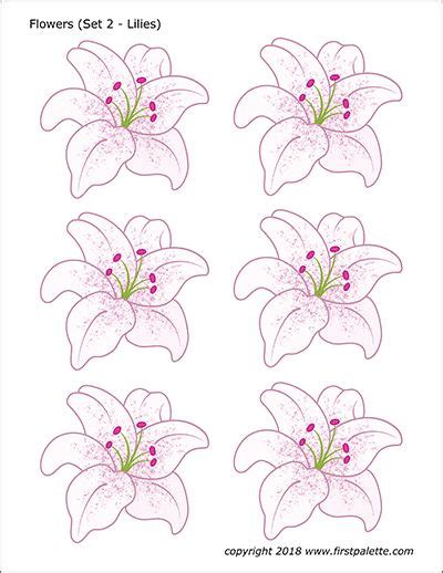 13 Lily Template Ideas Flower Crafts Flower Template Lily