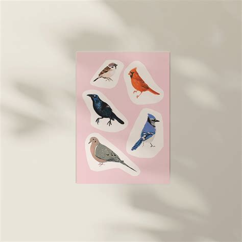 Canadian Backyard Birds Art Print Cocodrie Collective