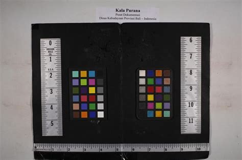 Kala Purana Palm Leaf Wiki