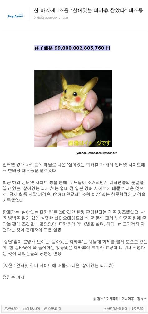 피카츄 팝니다