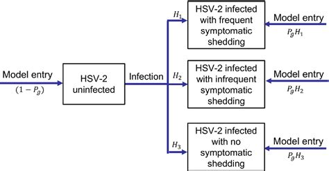 Figure 1 From The Population Impact Of Herpes Simplex Virus Type 2 Hsv