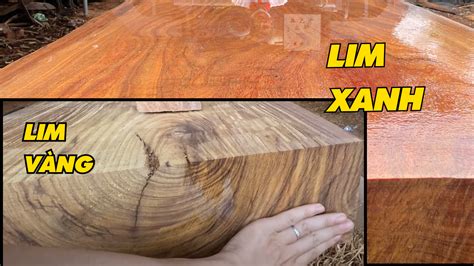 Gỗ Lim So Với Các Loại Gỗ Khác Như Thế Nào 8 Điểm Khác Biệt Quan Trọng