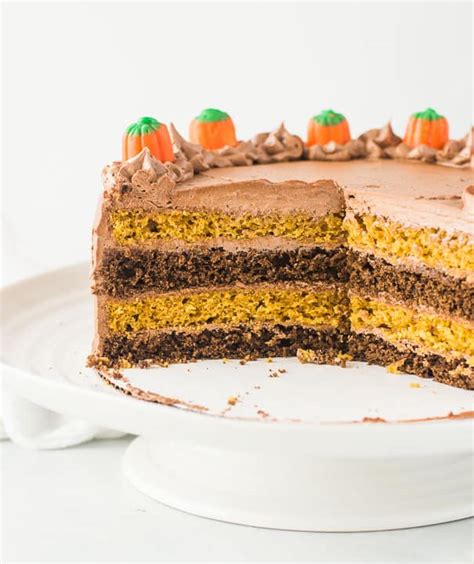 Chocolate Pumpkin Cake The Itsy Bitsy Kitchen