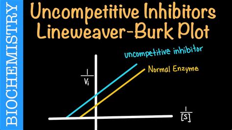 Uncompetitive Inhibitors Lineweaver Burk Plot Part 3 Biochemistry