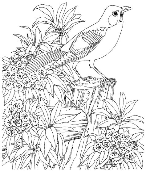 Tree Coloring Pages For Adults