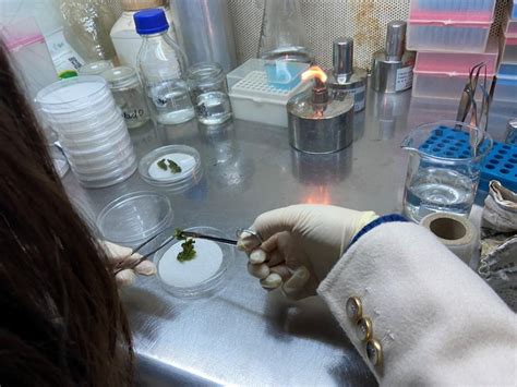 “走进实验室”系列研学活动课程之 培‘植美心，‘花样艺术 成功举办 四川大学研究生工作部