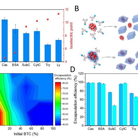 A Encapsulation Efficiency Obtained For The Different Proteins With
