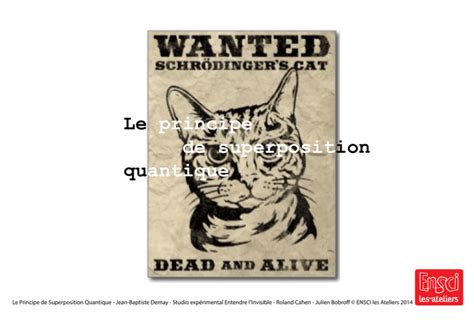 Le Principe De Superposition Quantique