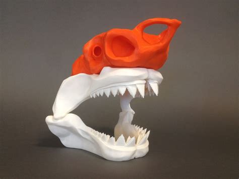 Great White Shark Jaw Skull