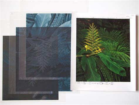 The Online Photographer What Do I Do With The Matrices