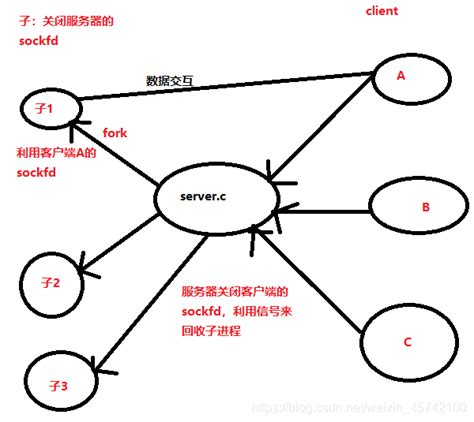 网络编程 多进程并发服务器实现挤线器原理 Csdn博客