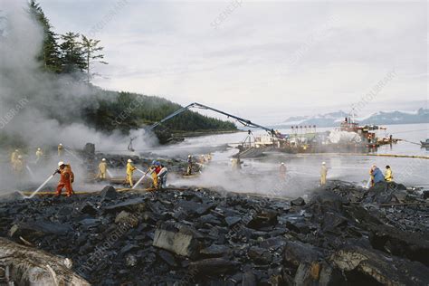 Cleanup After Exxon Valdez Spill Stock Image C012 1612 Science