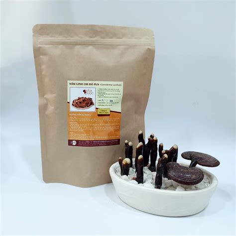 Sản Phẩm Nấm Phạm Lê Nguyễn