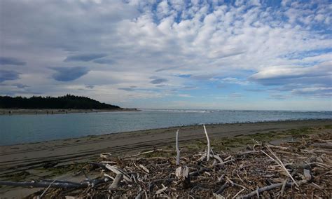 Dune Bugging Canterbury Trail Directory Wild Things