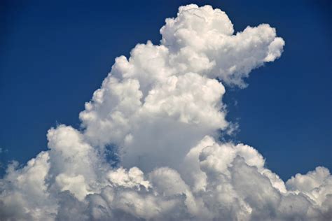 사라소타 하늘 위의 장엄한 적운 · 무료 스톡 사진