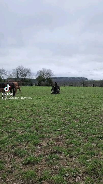 Elise Drouet On Linkedin Bon Week End End