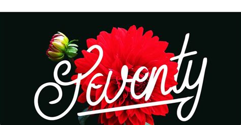 Seventy Monoline Typeface Font 298261 Templatemonster