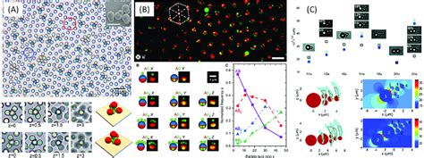 Electric And Magnetic Field Mediated Dynamics Of Anisotropic Particles Download Scientific