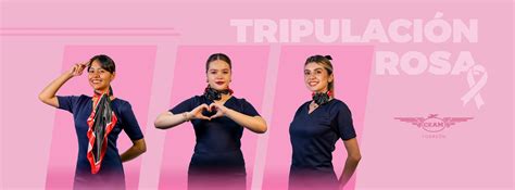 Ceam Torreón Torreón