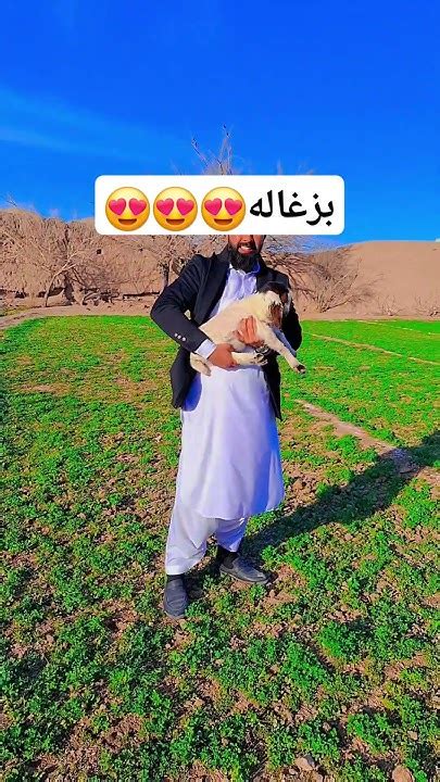 بزغاله بز بز قندی😍😂 Youtube
