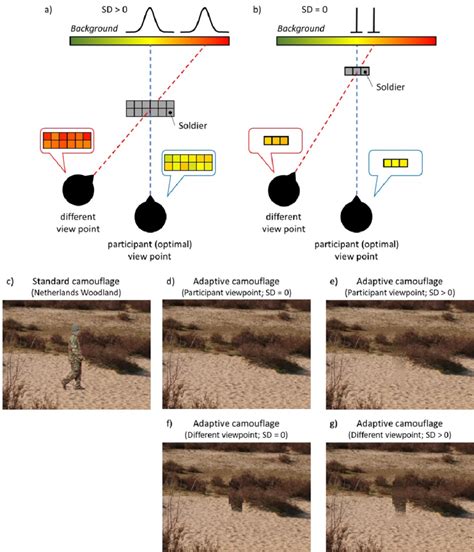 Adaptive Camouflage Algorithm A Illustration Of The Algorithm For A