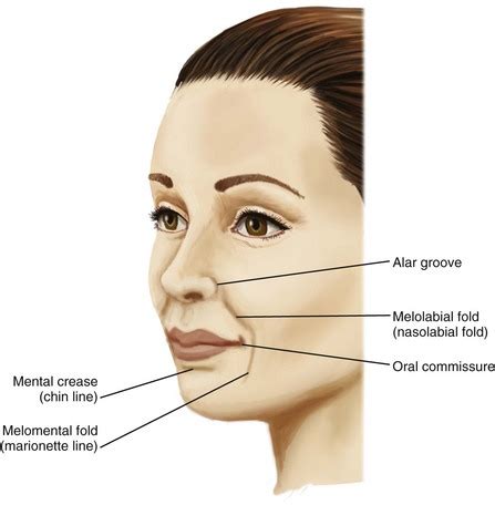 Dermal Fillers Clinical Gateclinical Gate