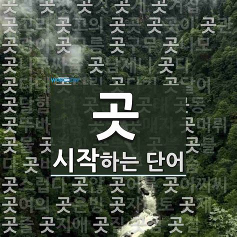 곳으로 시작하는 단어는 68개