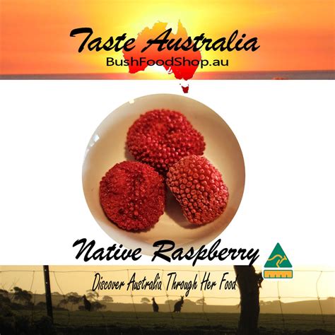 Native Raspberry Taste Australia Bush Food Shop