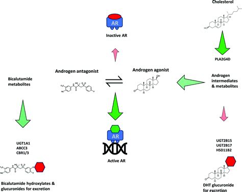 Articles Academia Oncology