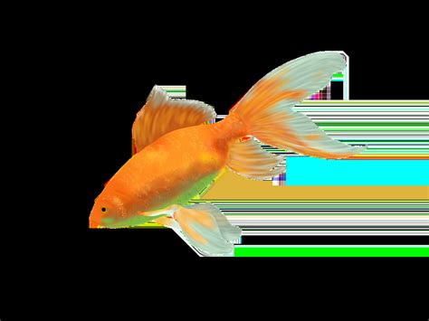 Виц за добро утро Рибар хванал златната рибка Poznanieto Bg