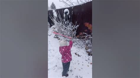 Раним утром снег с деревьев стрясти вышел на улицу маленький помощник Youtube