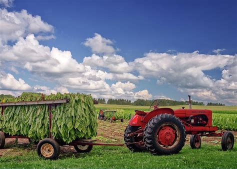 Vintage Power Loaded Up Veum Tobacco Harvest Series 2 Of 4 Greeting
