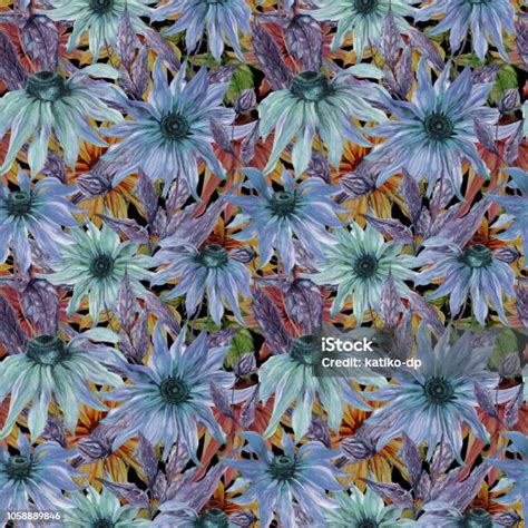 아름 다운 블루 에키네시아 꽃 완벽 한 꽃 패턴 수채화 그림입니다 손으로 그린 식물 그림 루트베키아에 대한 스톡 벡터 아트 및 기타 이미지 Istock