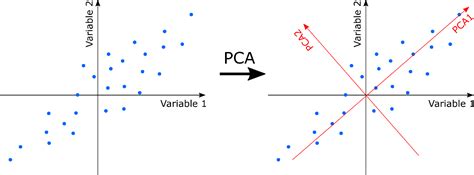 Machine Learning Prinicipal Component Analysis I2tutorials