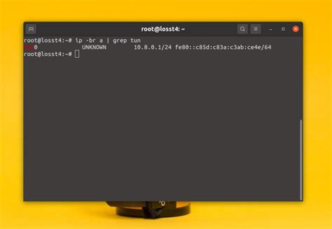 How To Make A Static Ip Of The Openvpn Client