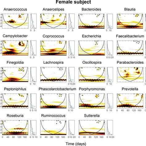Wavelet Analysis Of The Time Series Of Selected Genera For The Male Download Scientific Diagram