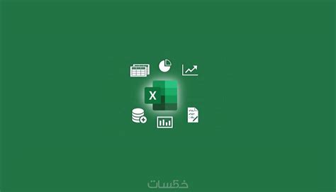 ادخال بيانات وجدولتها وتحليلها باستخدام Microsoft Excel خمسات
