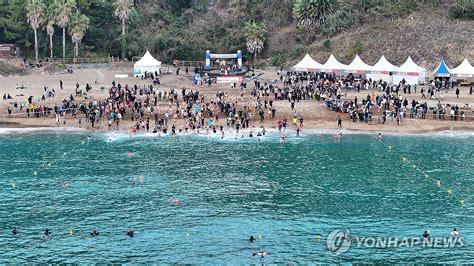 서귀포 겨울바다 국제펭귄수영대회 연합뉴스