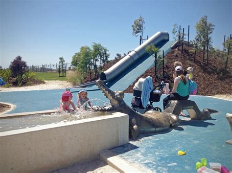 Salt Water Coast Crocodile Playground