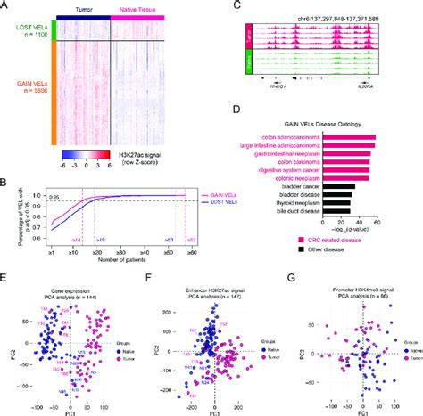 Identification Of Variant Enhancer Loci In Crc A Relative H3k27ac