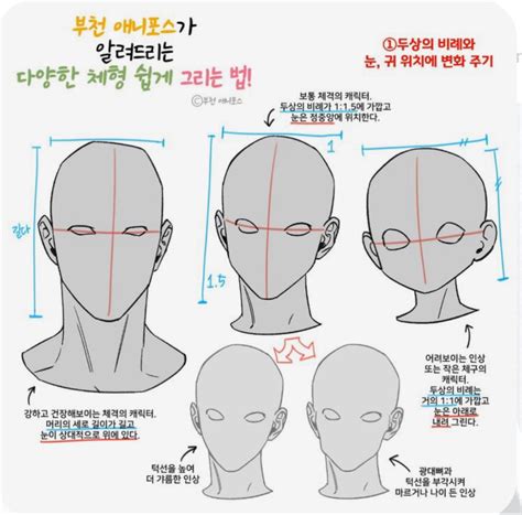 Anatomy And Head Angle Reference Artofit