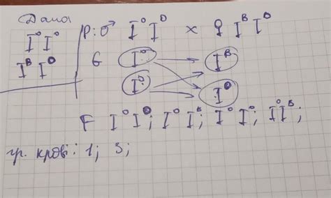 у батька за системою АВО 1 група крові у матері 3 група Які групи крові можуть бути у їхніх