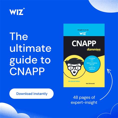 Cnapp For Dummies Wiz Wiz